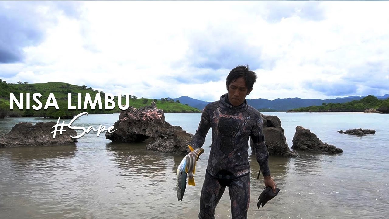 MENANGKAP IKAN DAN KEINDAHAN BAWAH LAUT INDONESIA!! SPEARFISHING NUSA ...