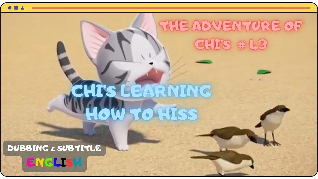 Chi's Sweet Cat Adventure's #Episode43 | Chi's Learning How To Hiss ...