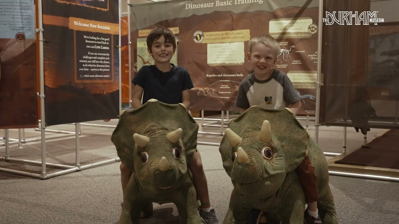 Dinosaur Revolution - YouTube