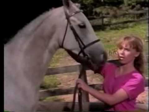 The Rogue Stallion - 04 - YouTube