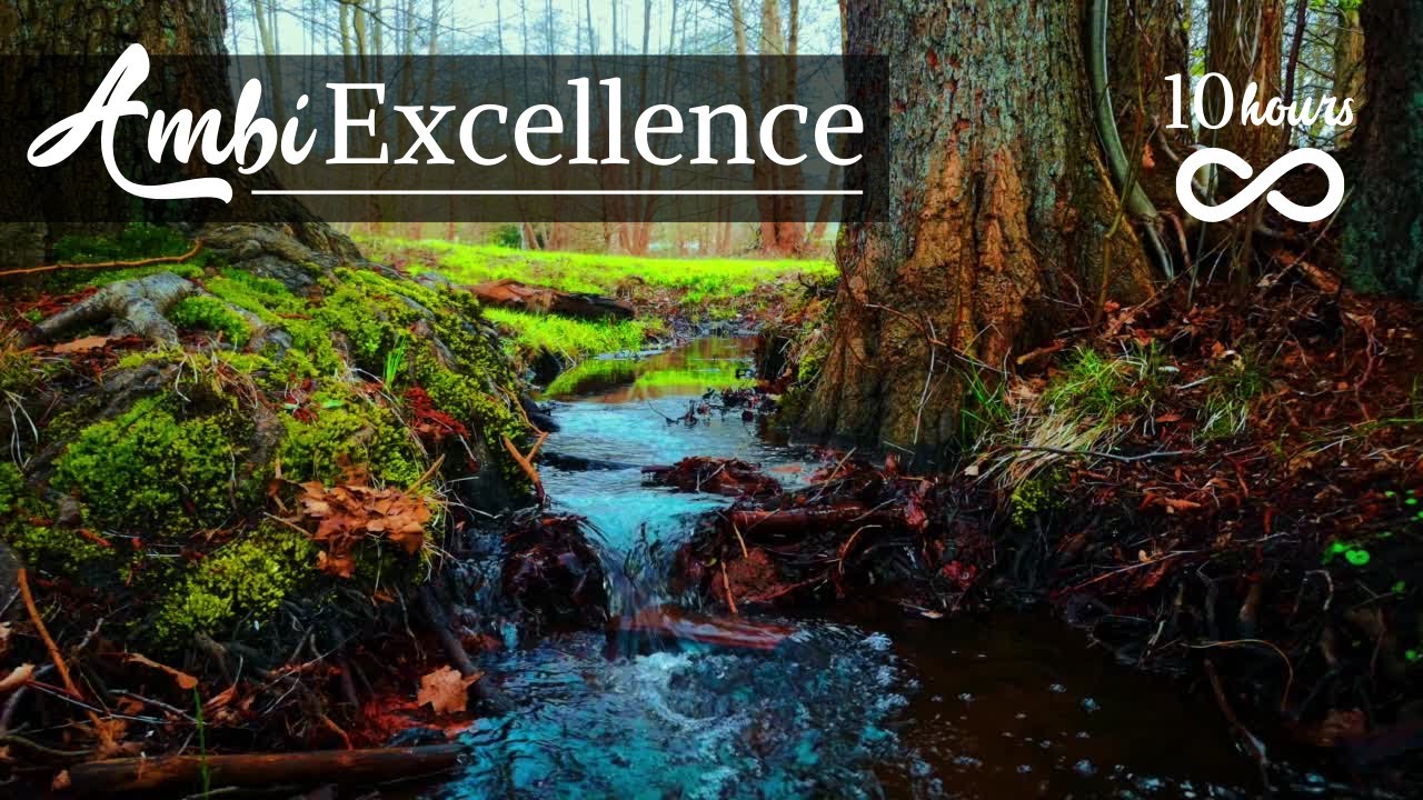 Calming running water sounds in mossy green forest | Ambient nature ...