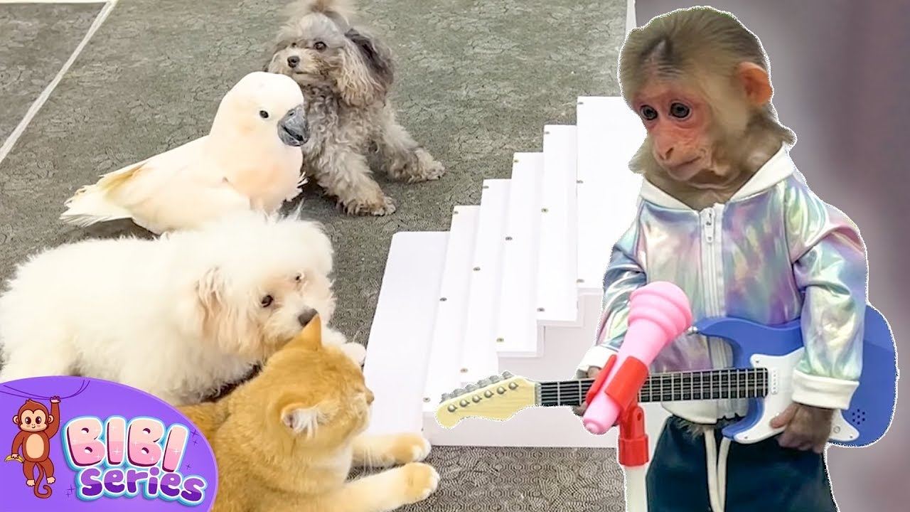 Singer BiBi and her audience - YouTube