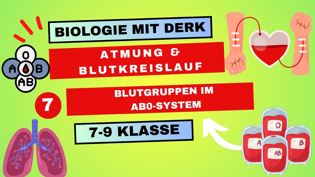 Atmung & Blutkreislauf | 7 | Blutgruppen im AB0-System - YouTube