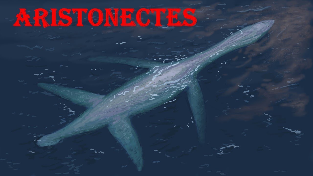 aristonectes - YouTube