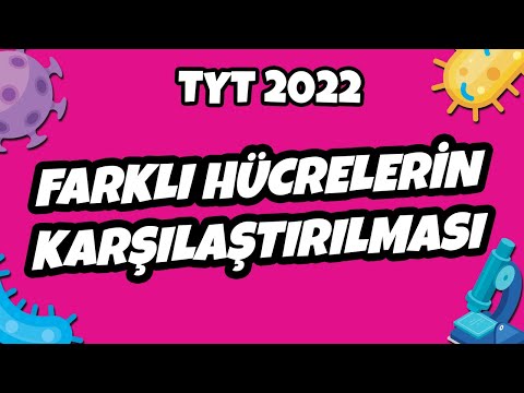 Farklı Hücrelerin Karşılaştırılması | TYT Biyoloji 2022 #hedefekoş
