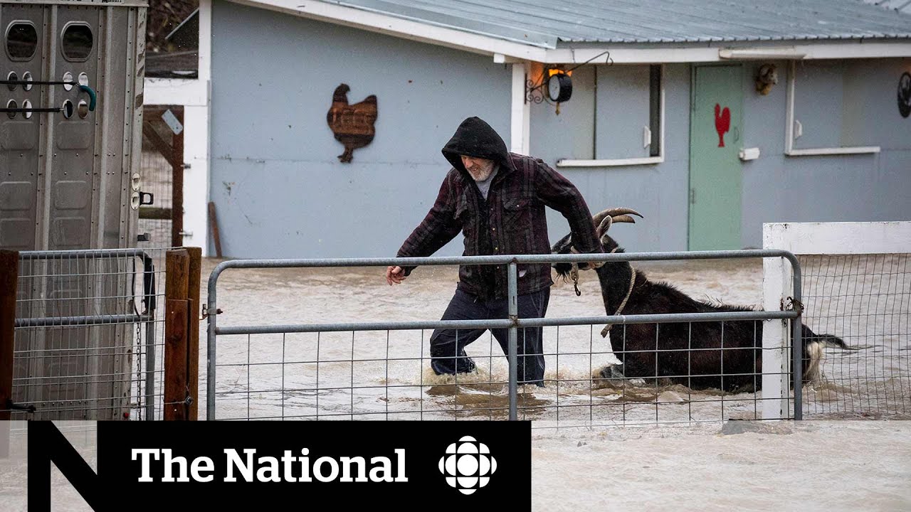 Destructive rainfall the latest in year of weather extremes for B.C ...