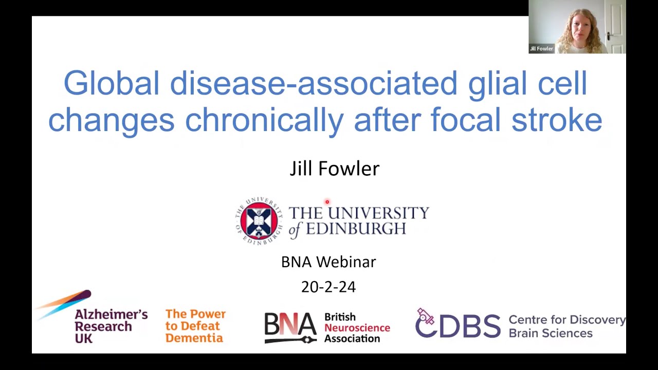 Global Disease-Associated Glial Cell Changes Chronically After Focal Stroke - with Miltenyi ...
