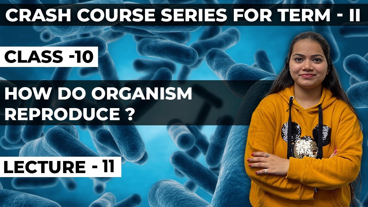 CBSE Class 10 Science | How do Organisms Reproduce? | Lecture-11 ...