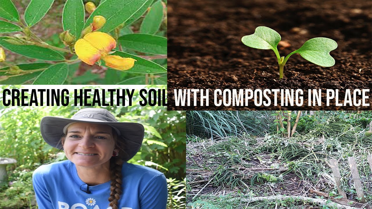 Creating healthy soil with composting in place - YouTube