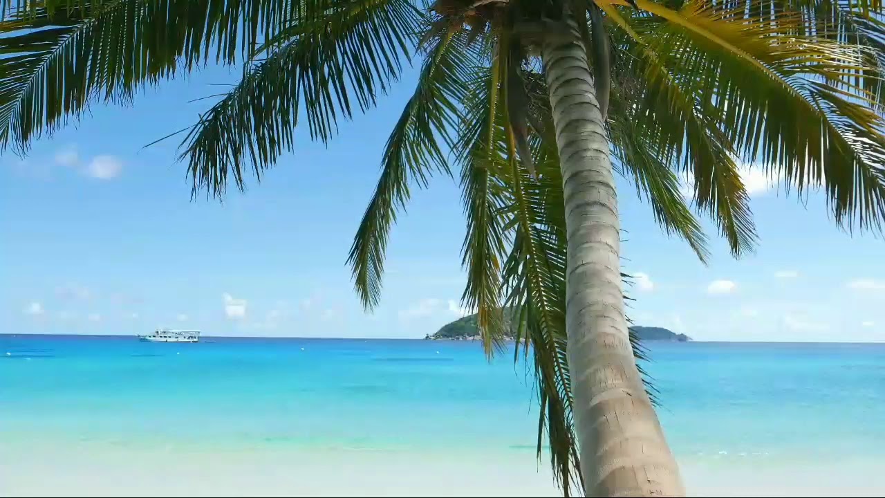 Ocean Waves Beach Sound 4k 2020 - YouTube