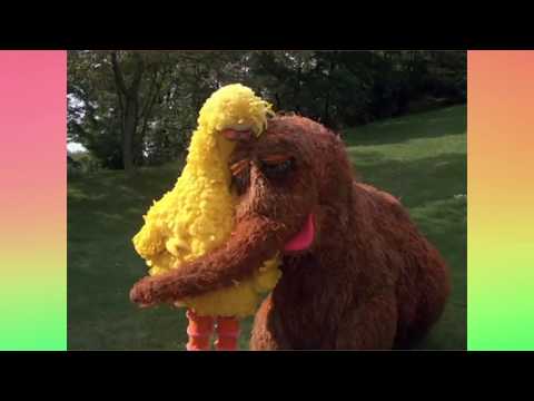 Follow That Bird: Big Bird Says Goodbye