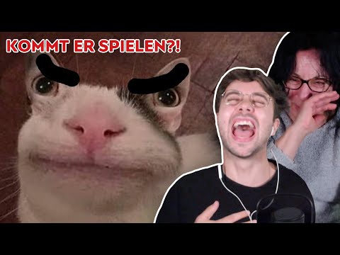 Darf der Kevin ENDLICH spielen kommen?!