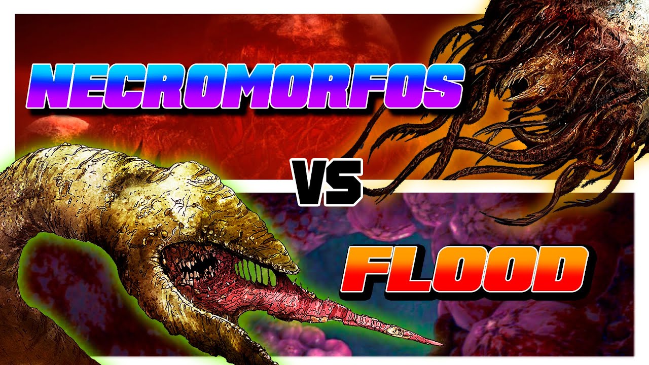 FLOOD VS NECROMORFOS ¿CUÁL ES MÁS PELIGROSO? (HALO VS DEAD SPACE) - YouTube