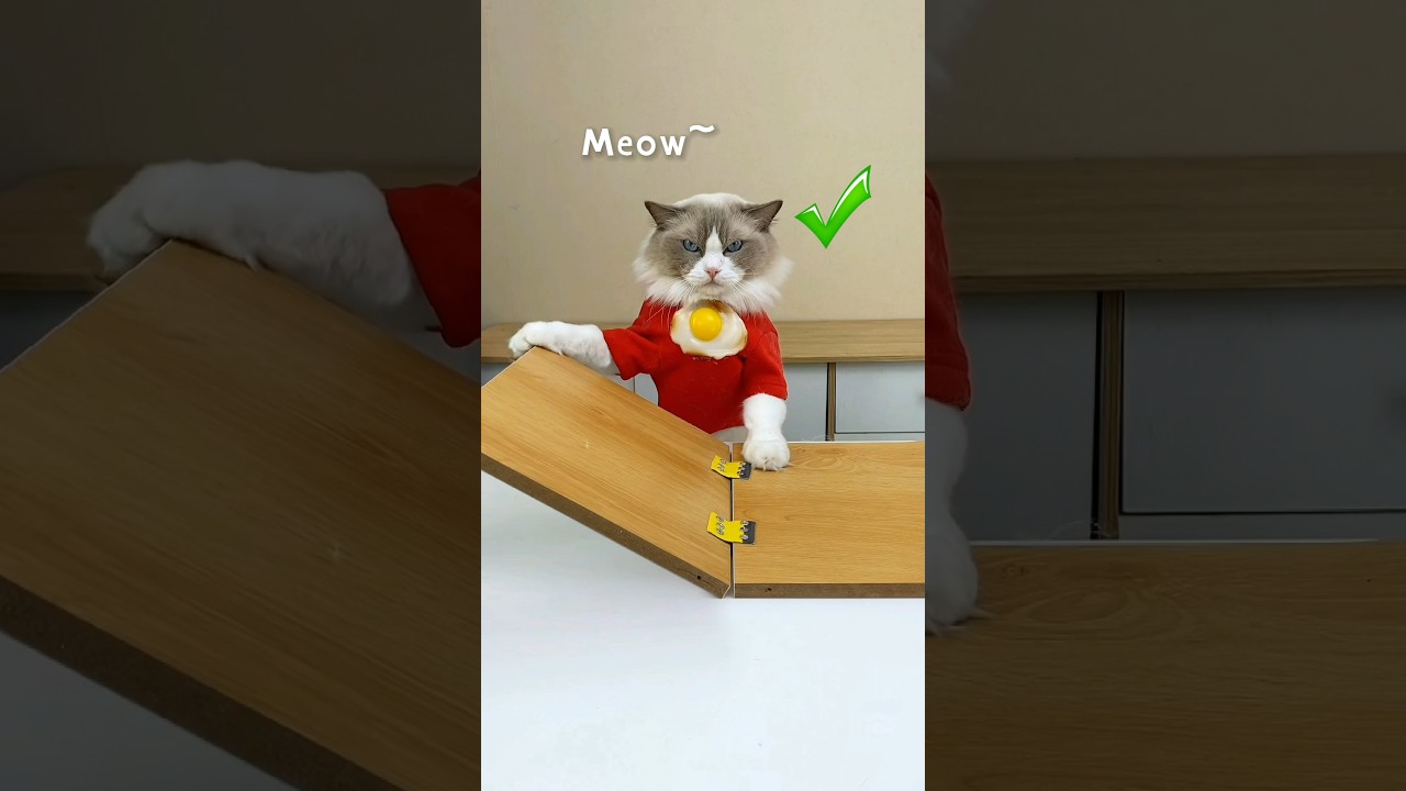 Ready for some advanced carpenter hacks? #thatlittlepuff #hacks - YouTube