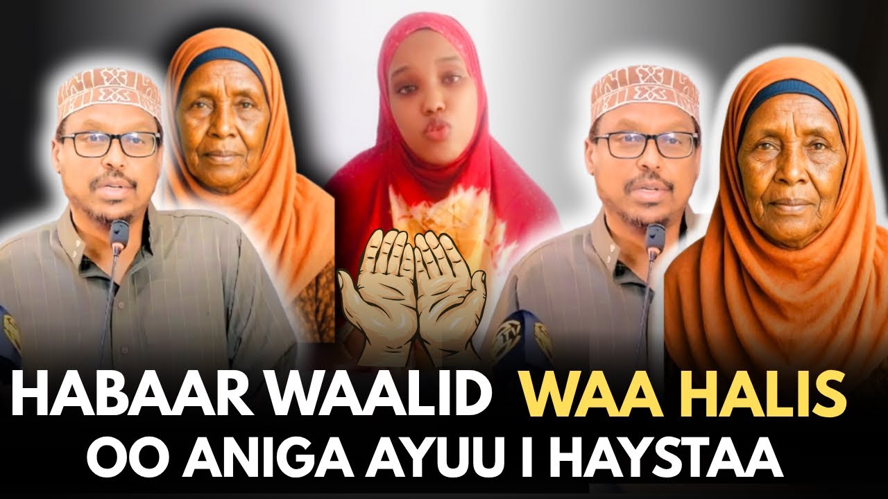 HABAAR WAALID WAA HALIS OO ANIGA AYUUU I HAYA #bushrajano - YouTube