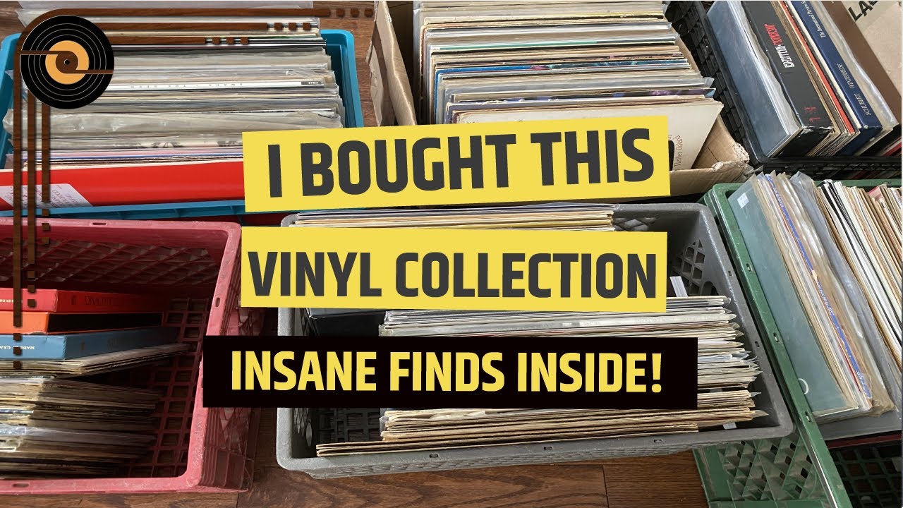 I Bought A Huge Record Collection!: Essential Vinyl, Holy Grails and ...