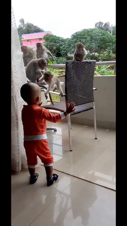 😱 what is happening #shorts #animals #trendingshorts #manvswild # ...