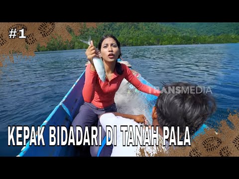 KEPAK BIDADARI DI TANAH PALA | JEJAK PETUALANG (29/01/26) Part 1