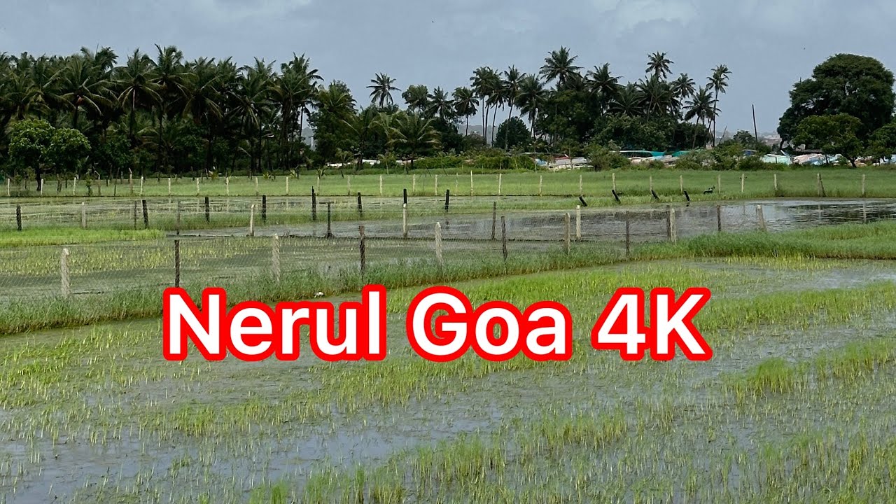 Nerul north Goa - YouTube