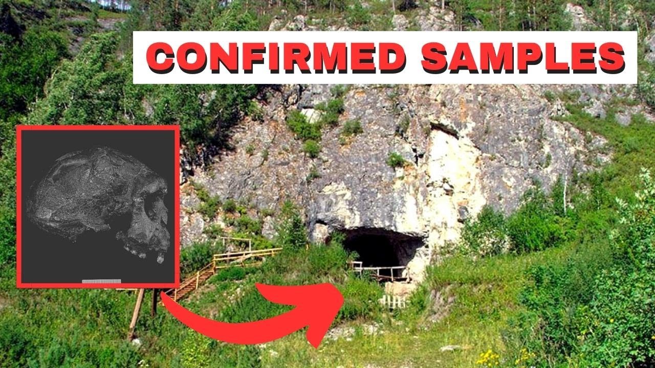 5 Out Of Place Artifacts That Will BLOW Your Mind #21 | Skull of ...