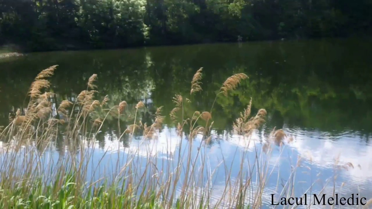Lacul Meledic - YouTube