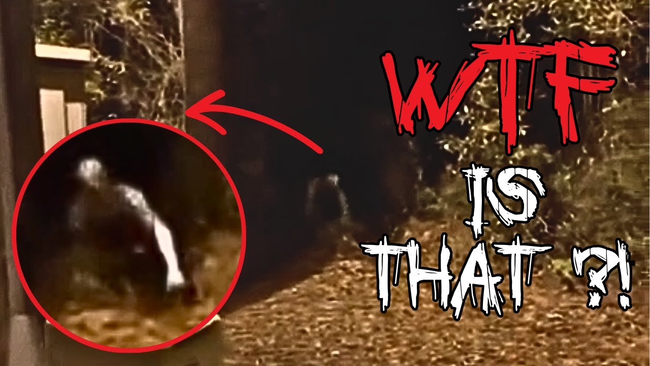 Top 10 SCARY mysterious creatures CAUGHT ON CAMERA - YouTube