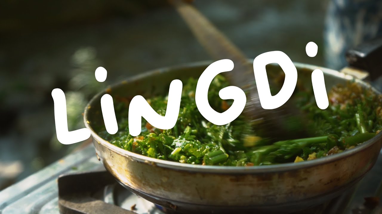 We cooked an edible fern! Himachal Series - YouTube