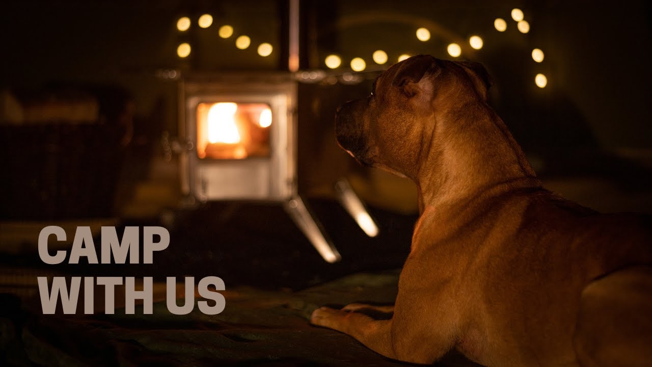 Winter Camping w/ our Staffordshire Bull Terriers - YouTube