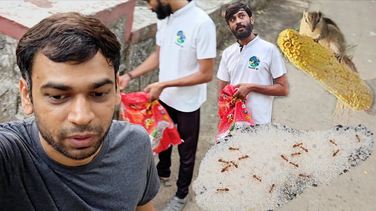 Khiskoli Ne Makai and Kidi Ne Kidyaroo Ni Seva | Dharmesh Hirapara ...