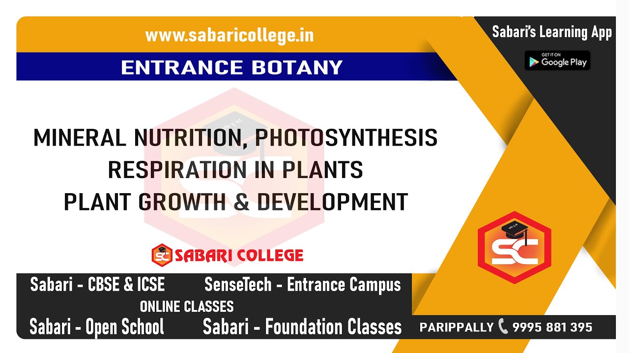 ENTRANCE | BOTANY MINERAL NUTRITION PHOTOSYNTHESIS RESPIRATION IN ...