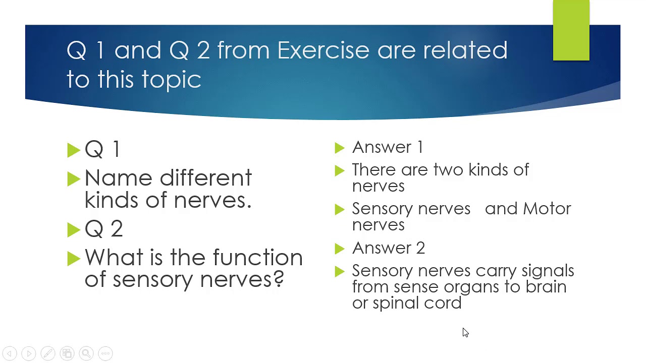 Class 5 Oxford Science Unit 1 lecture 3 - YouTube