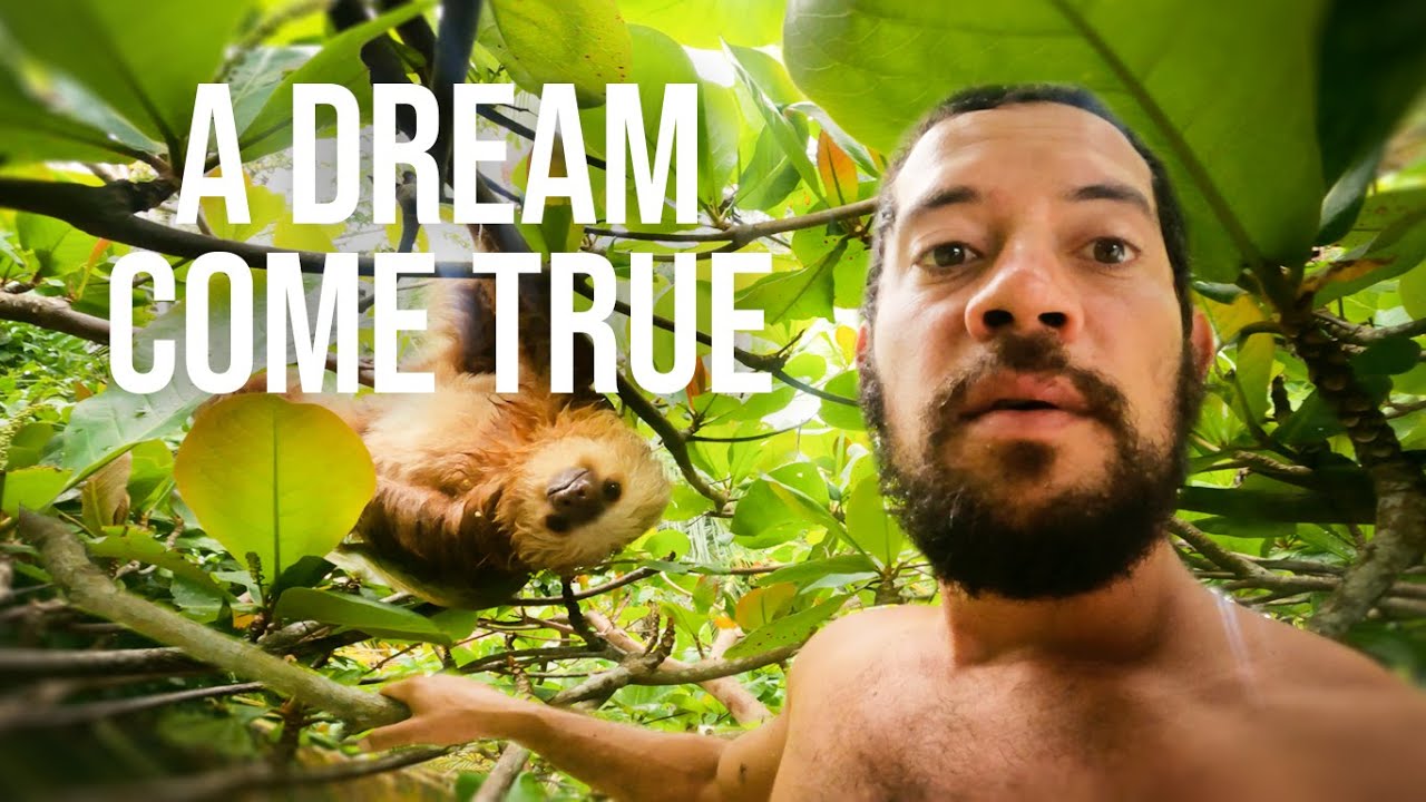 A dream come true - Meeting a sloth - YouTube