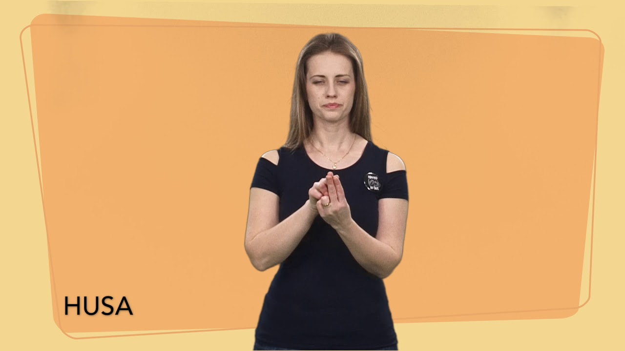 husa - YouTube
