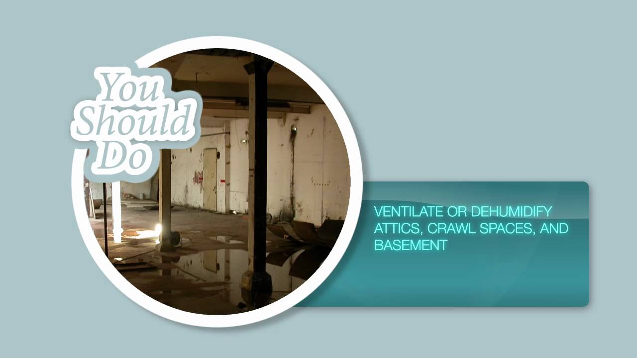 Mold Damage and Removal in Tucson - YouTube