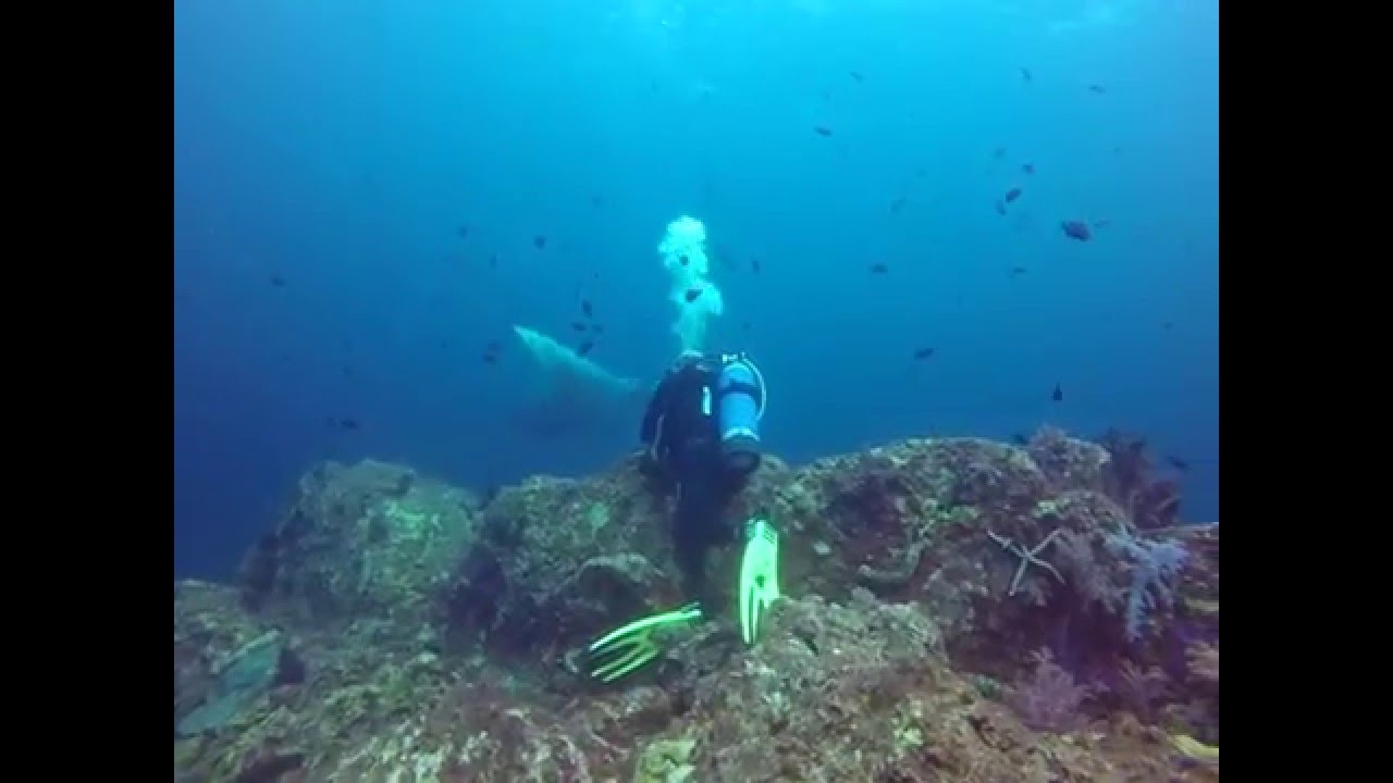 THAJSKO 2016 -MANTA VELKÁ - YouTube