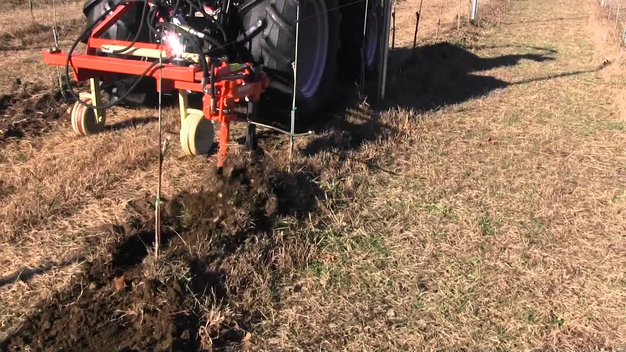Braun Grape Hoe 1 - YouTube