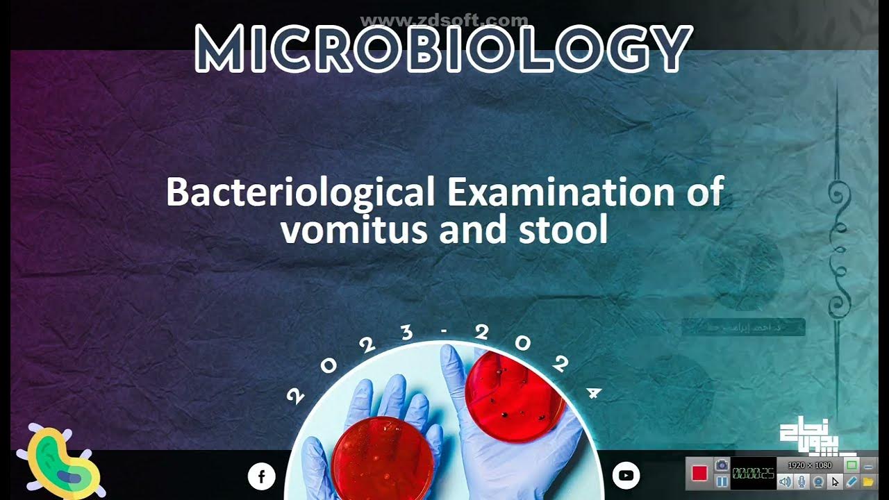 Pract 1 bacteriological Examination Of Vomitus And Stool YouTube pract-1-bacteriological-examination-of-vomitus-and-stool-youtube