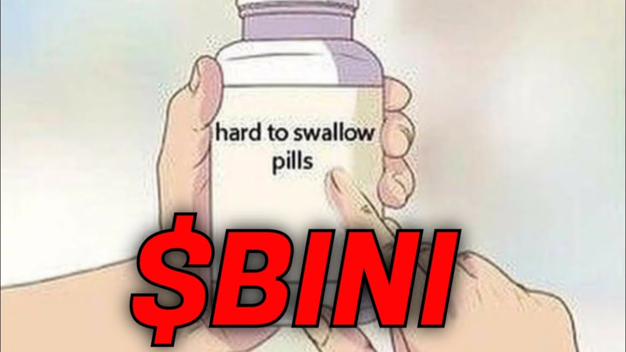 BINI STOCK: WORST STOCK EVER!! - YouTube