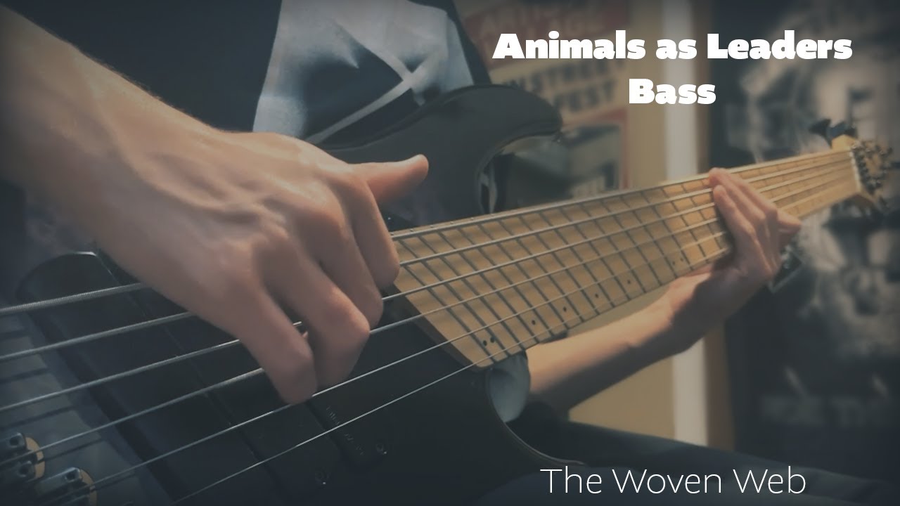 Animals As Leaders - The Woven Web Bass Cover - ScottyBass - YouTube