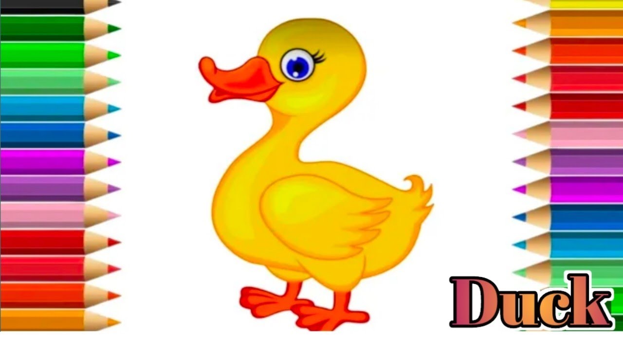 How to draw a cute cartoon duck🦆 / Colourful funny🤣 duck🦆 drawing easy ...