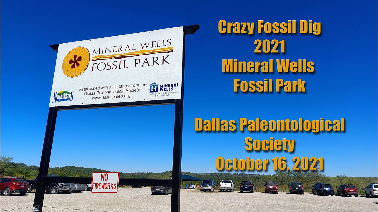 Crazy Fossil Dig, Mineral Wells Fossil Park, Dallas Paleo Society, 10 ...