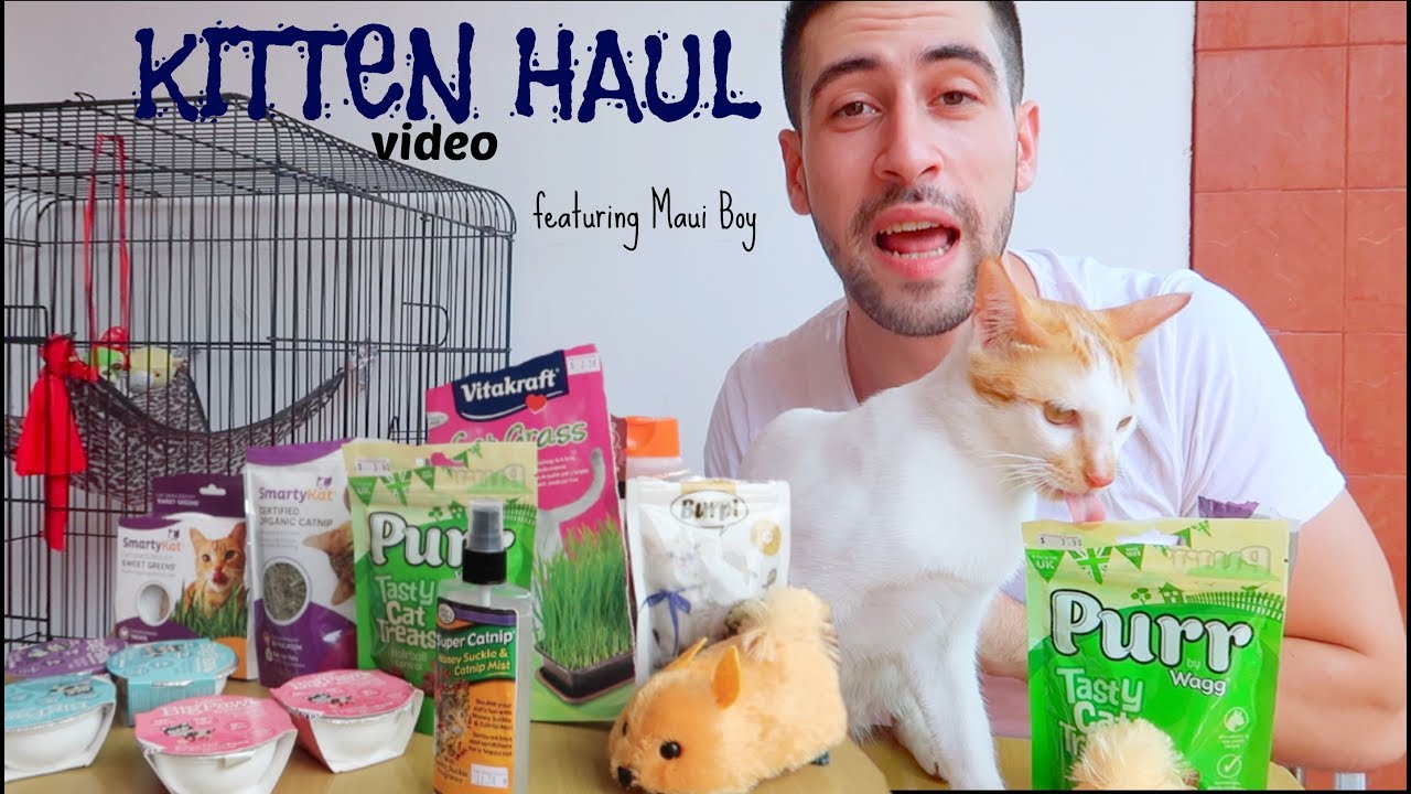 WHAT I GOT FOR MY KITTEN HUGE HAUL | Basel Manadil - YouTube