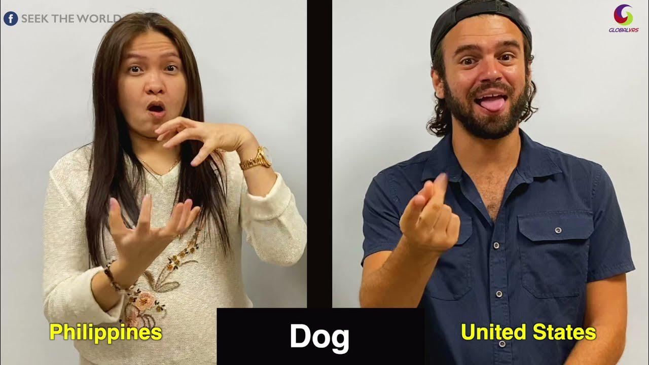 Filipino Sign Language (FSL) & American Sign Language (ASL) - YouTube