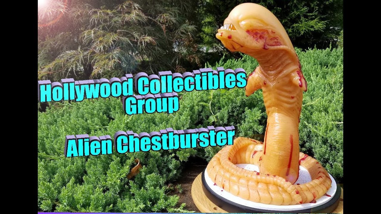 Hollywood Collectibles Group Alien Chestburster Prop Replica - YouTube