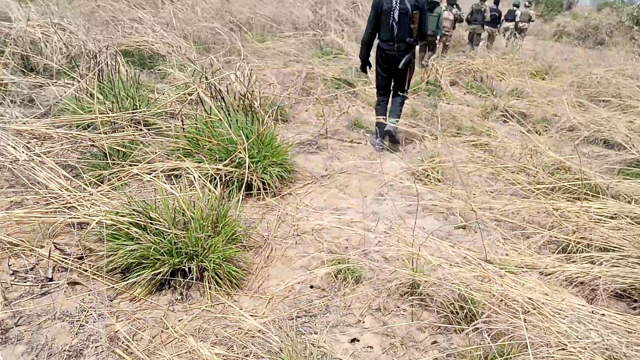 Sambisa forest(2) #bokoharam - YouTube