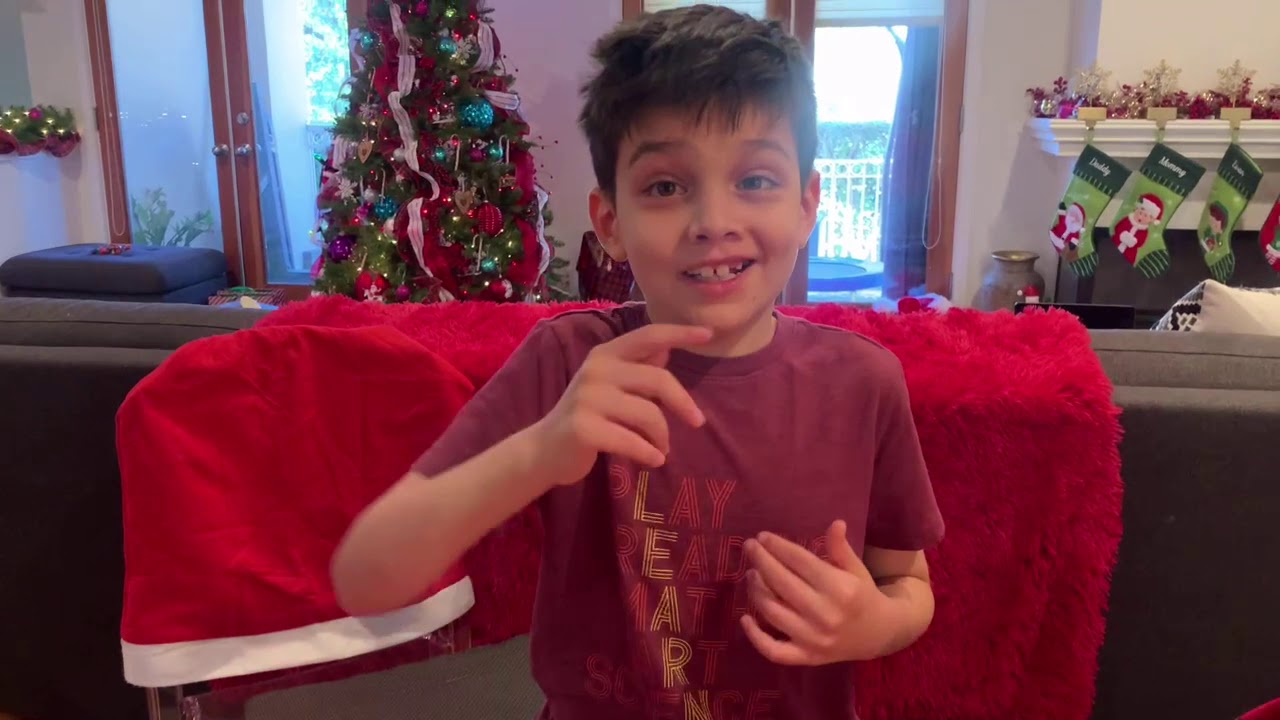 Vlogmas Day 19 and 20 - We had a Zoom call with Santa + Autistic boy ...