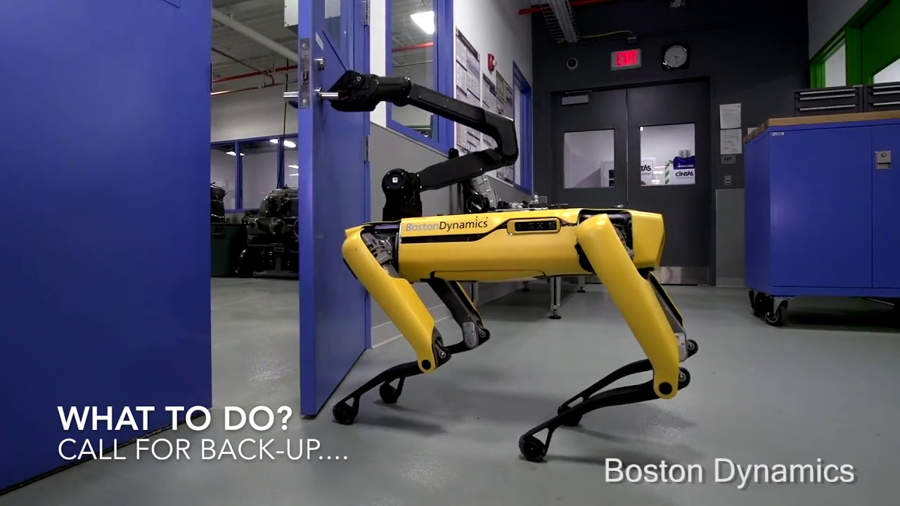 MUST SEE: Robot Dogs Escape Boston Dynamics' Lab! - YouTube