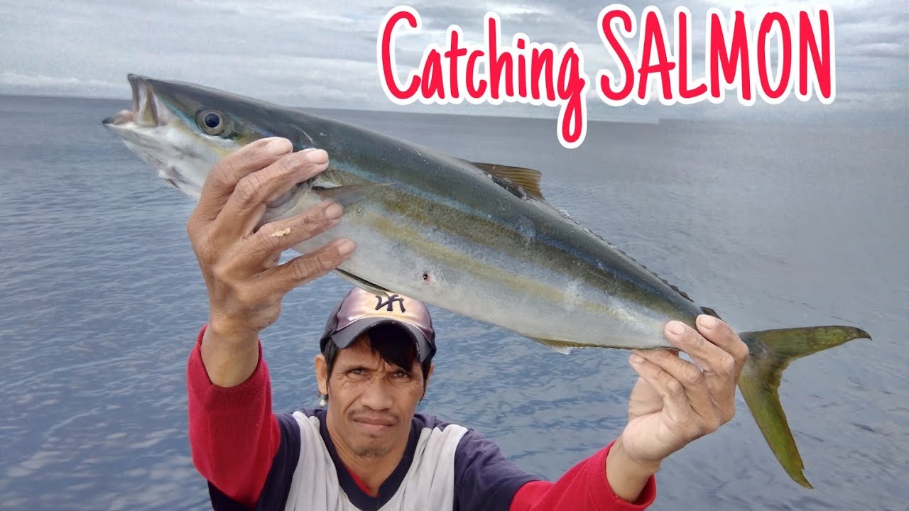 HOW TO CATCH SALMON/BALANGAWAN - YouTube