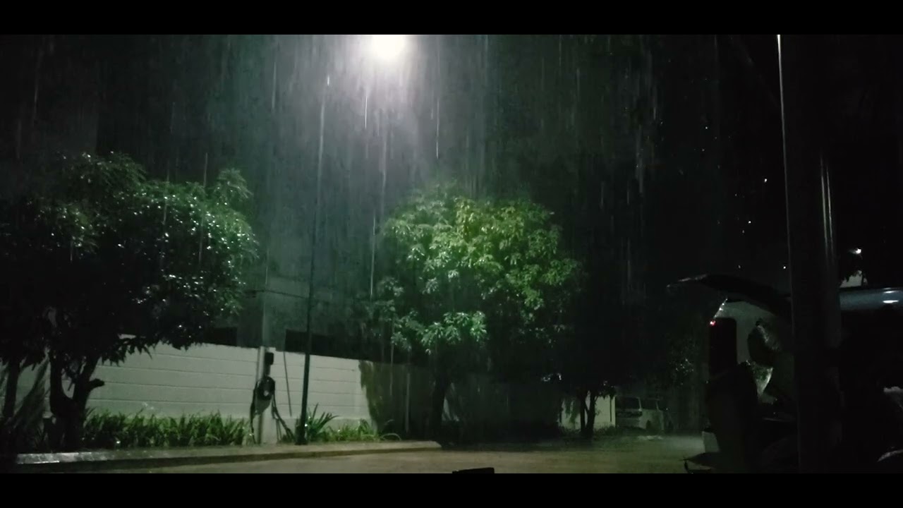 Midnight Rain ।। Gentle night for sleeping।। Reduce Insomnia ...