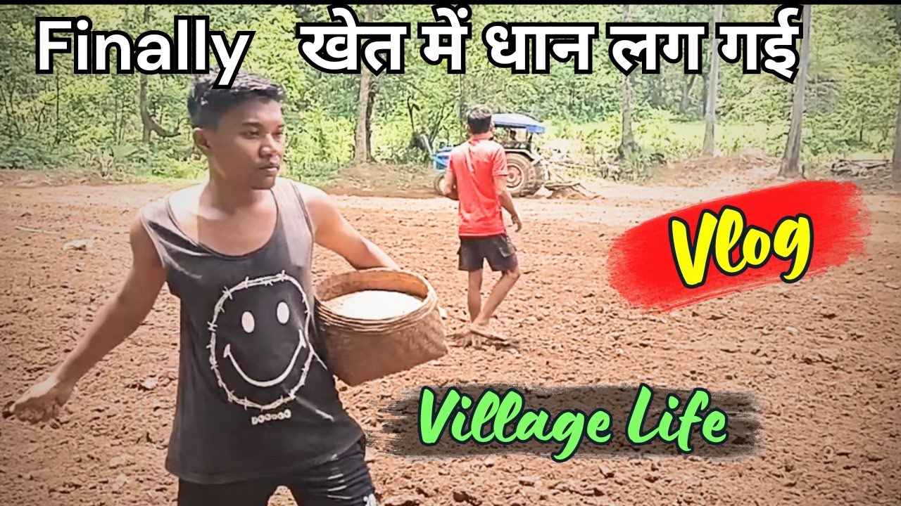 Finally खेत में धान लग गई || Finally Paddy Was Planted In The Field || Dr. Hirma Markam # ...